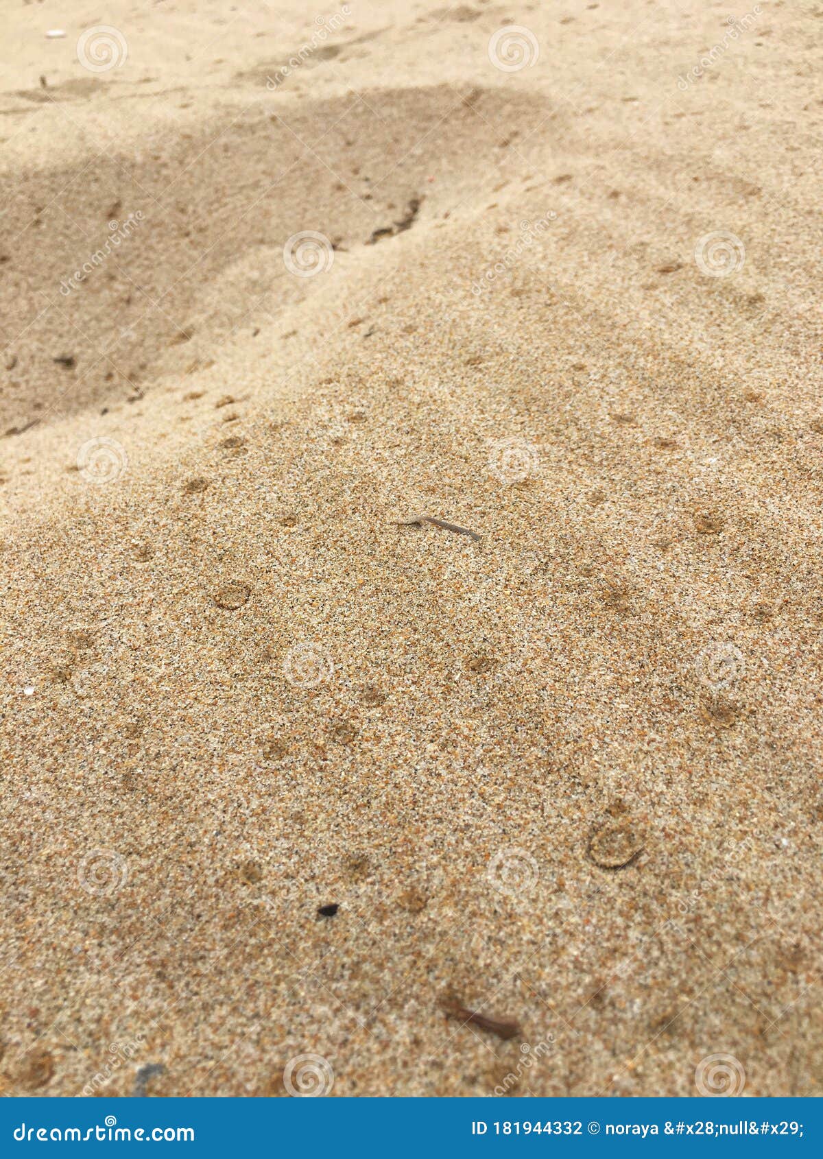 Sand stock photo. Image of sand, water, summer, rain - 181944332