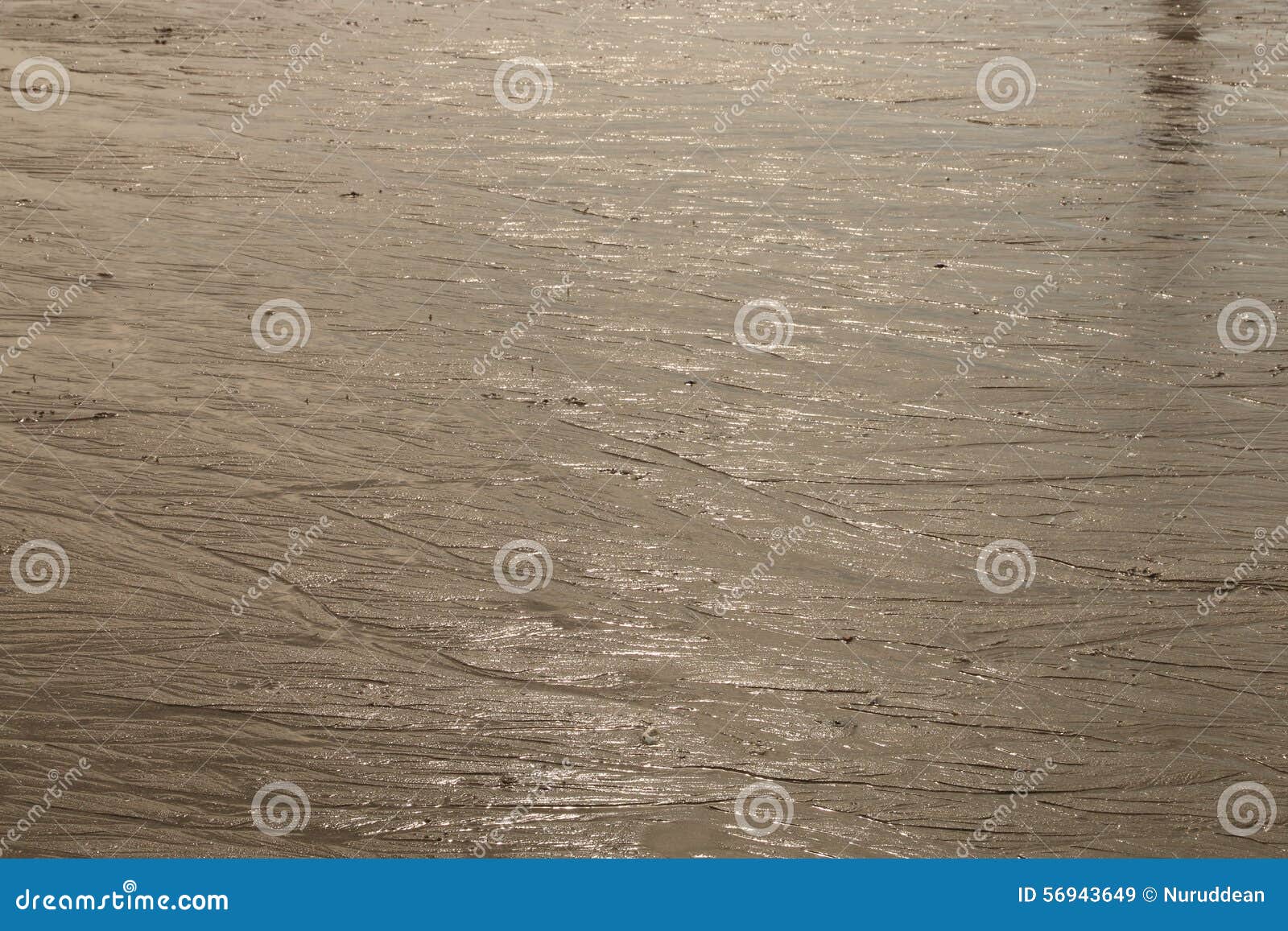 Sand Reflect Sunlight during the Evening Stock Image - Image of ...