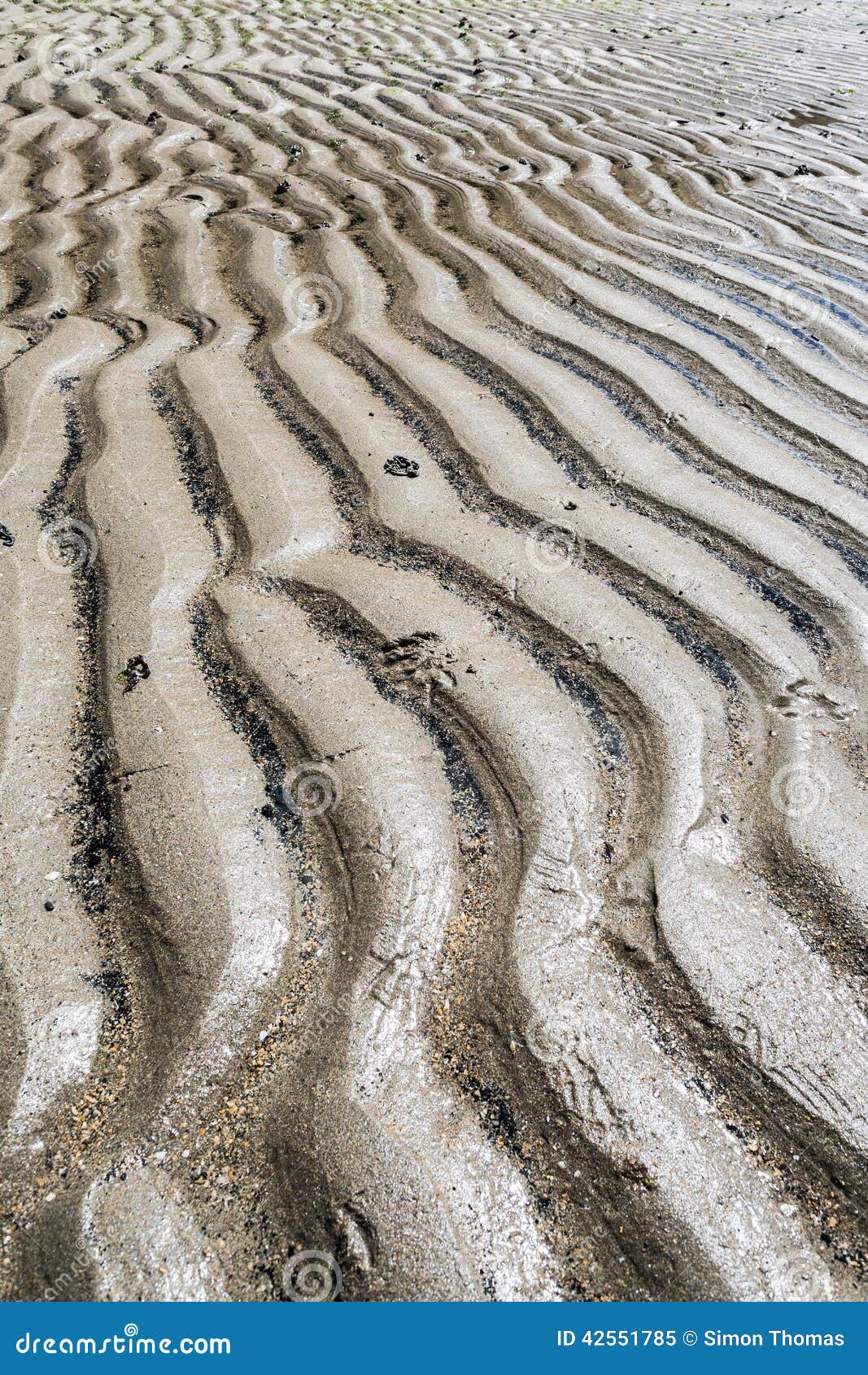 Sand Ridges stock image. Image of ripples, salcombe, wavy - 42551785