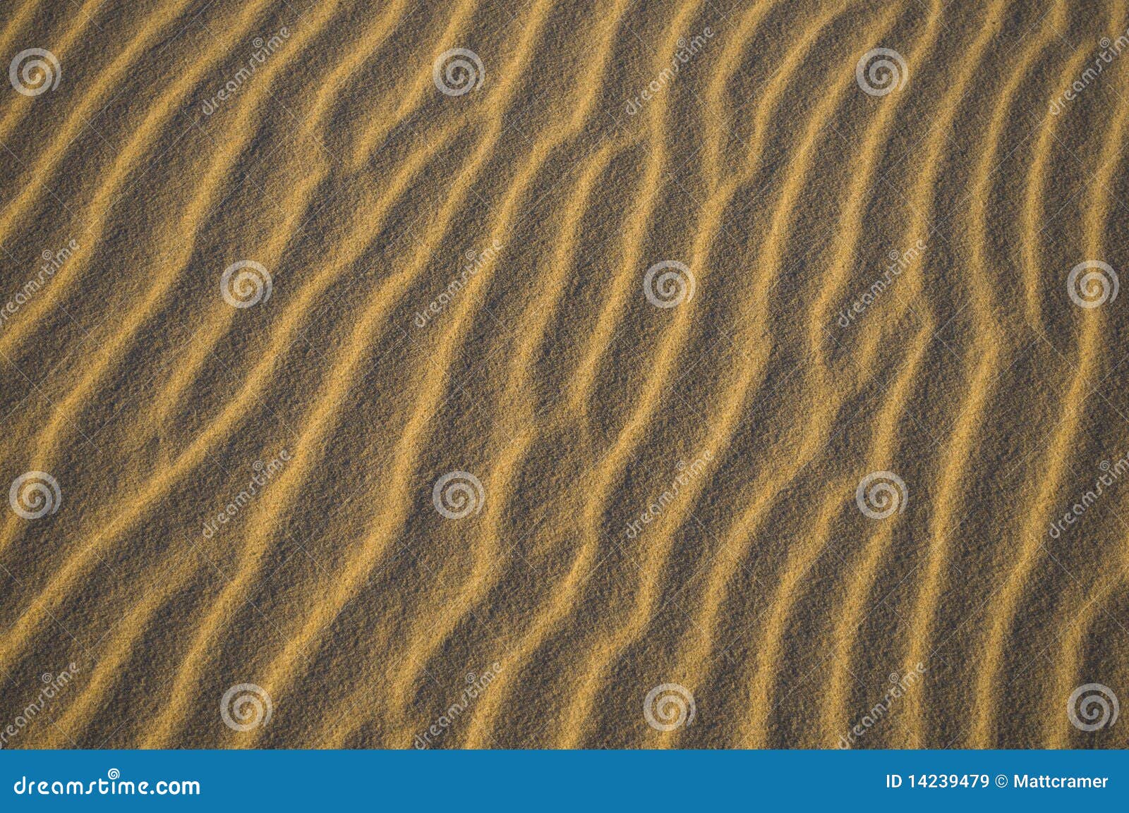 Sand ripple stock image. Image of ripple, lines, yellow - 14239479