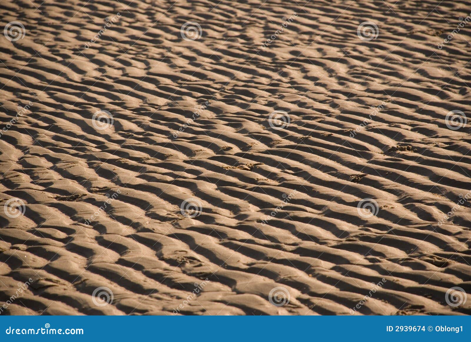 Sand Ripple on the beach stock photo. Image of shore, tidal - 2939674