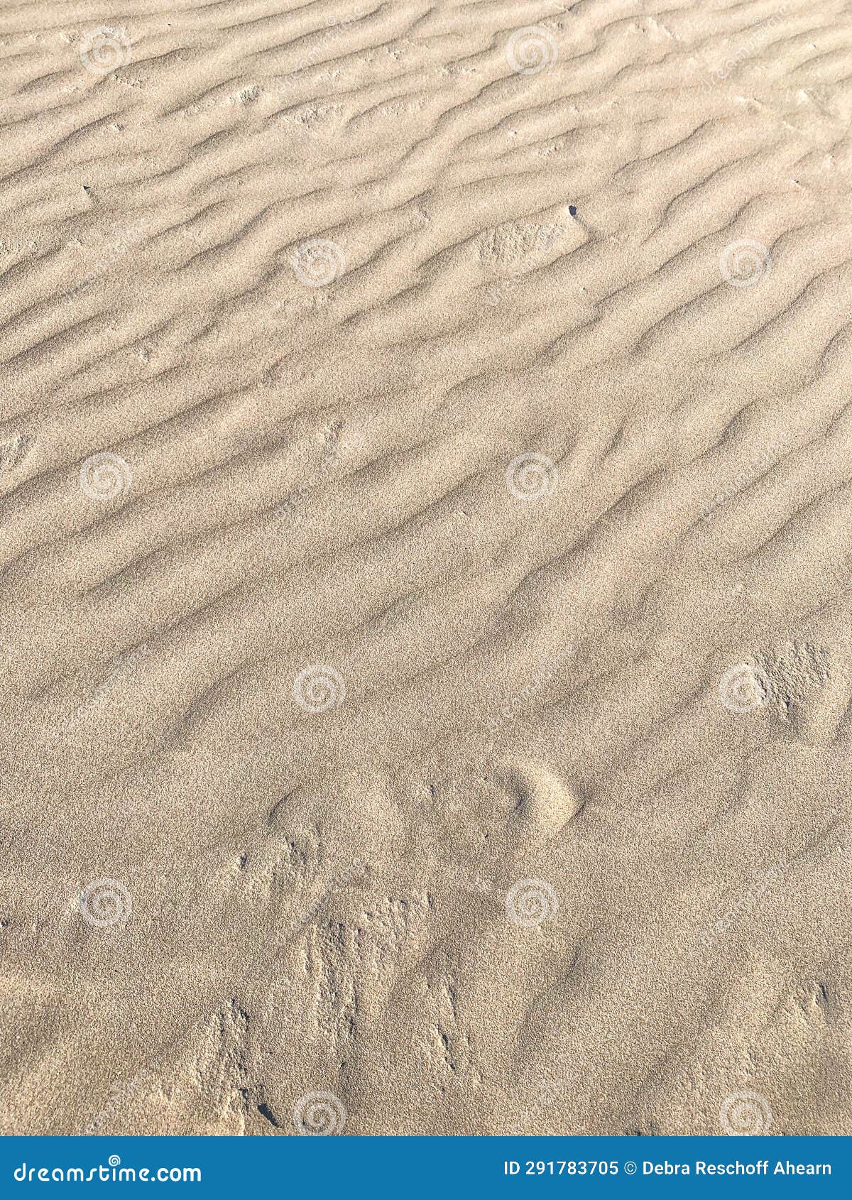 Sand Ripple Pattern on Beach Stock Image - Image of abstract, tropical ...