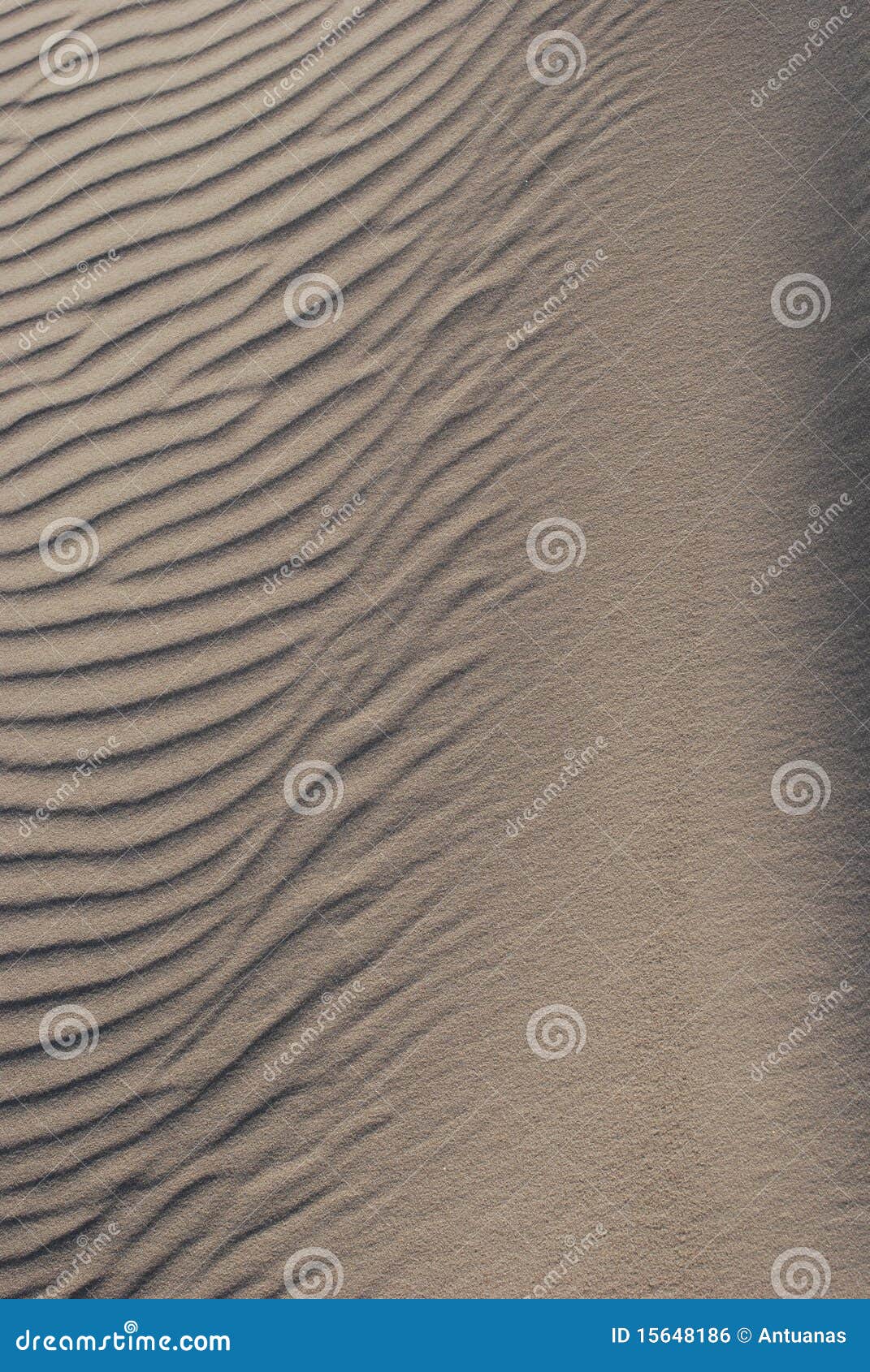 Sand Ripple Patterns stock photo. Image of calm, landscape - 15648186