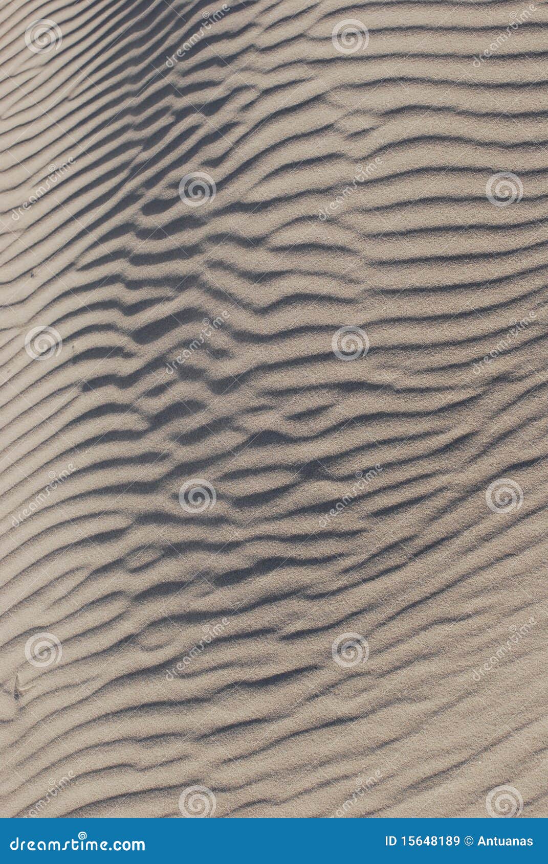 Sand Ripple Patterns stock image. Image of endangered - 15648189