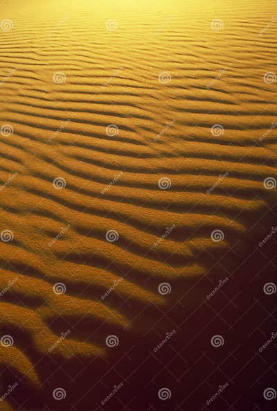 Sand Ripple and Shadow Patterns Stock Image - Image of abstract ...