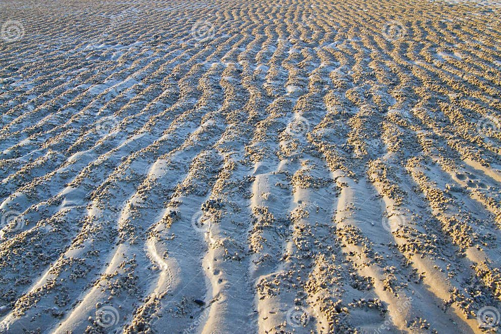 Sand ripple texture stock photo. Image of burrow, asia - 23394338