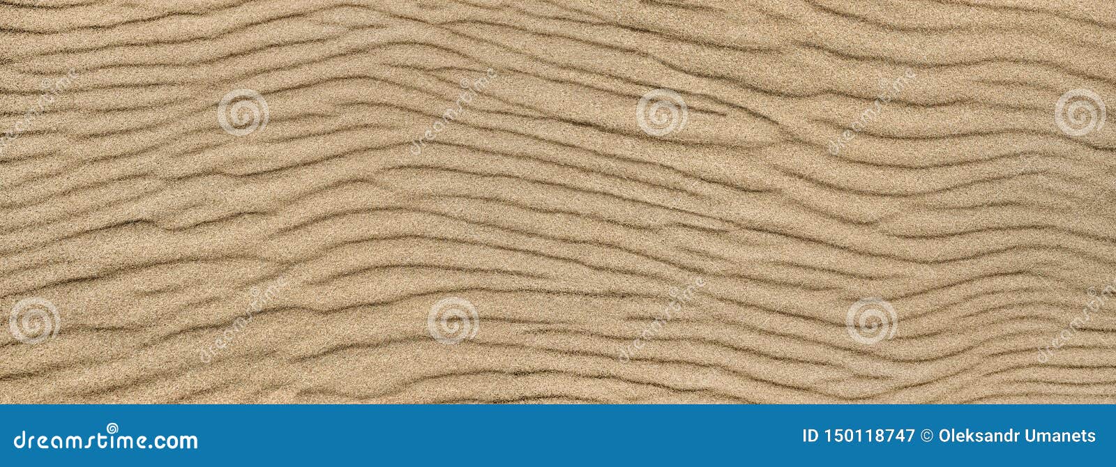 Sand Ripple Texture. Sandy Background Stock Image - Image of ...