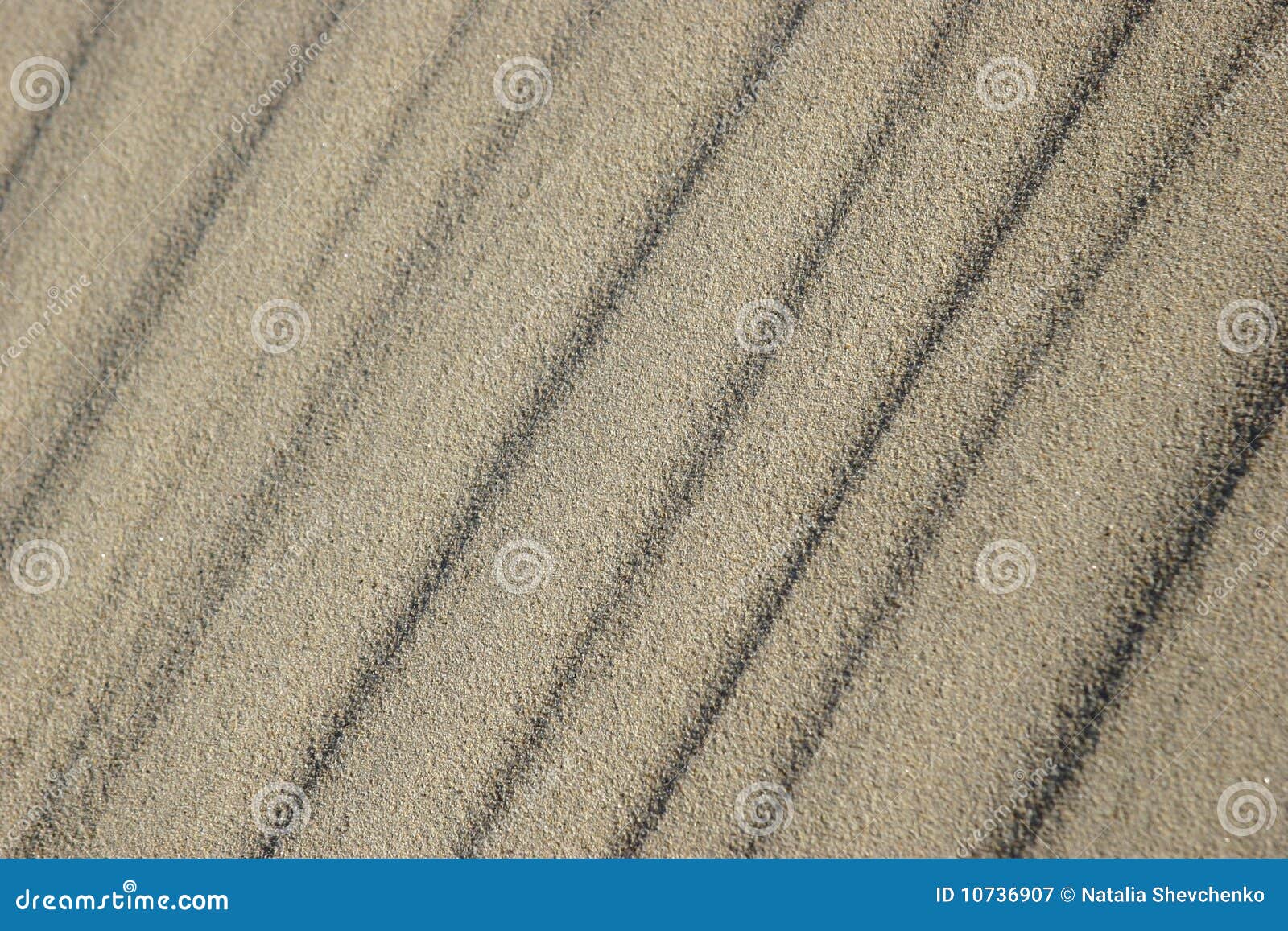 Sand ripples stock image. Image of desert, sandy, dune - 10736907