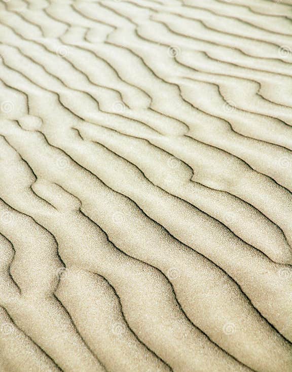 Sand ripples stock image. Image of detail, dirt, climate - 12214781