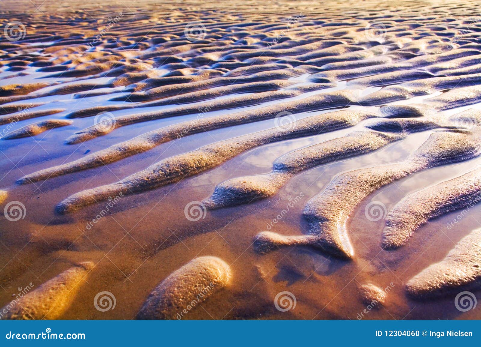 Sand ripples stock photo. Image of serene, soft, pattern - 12304060