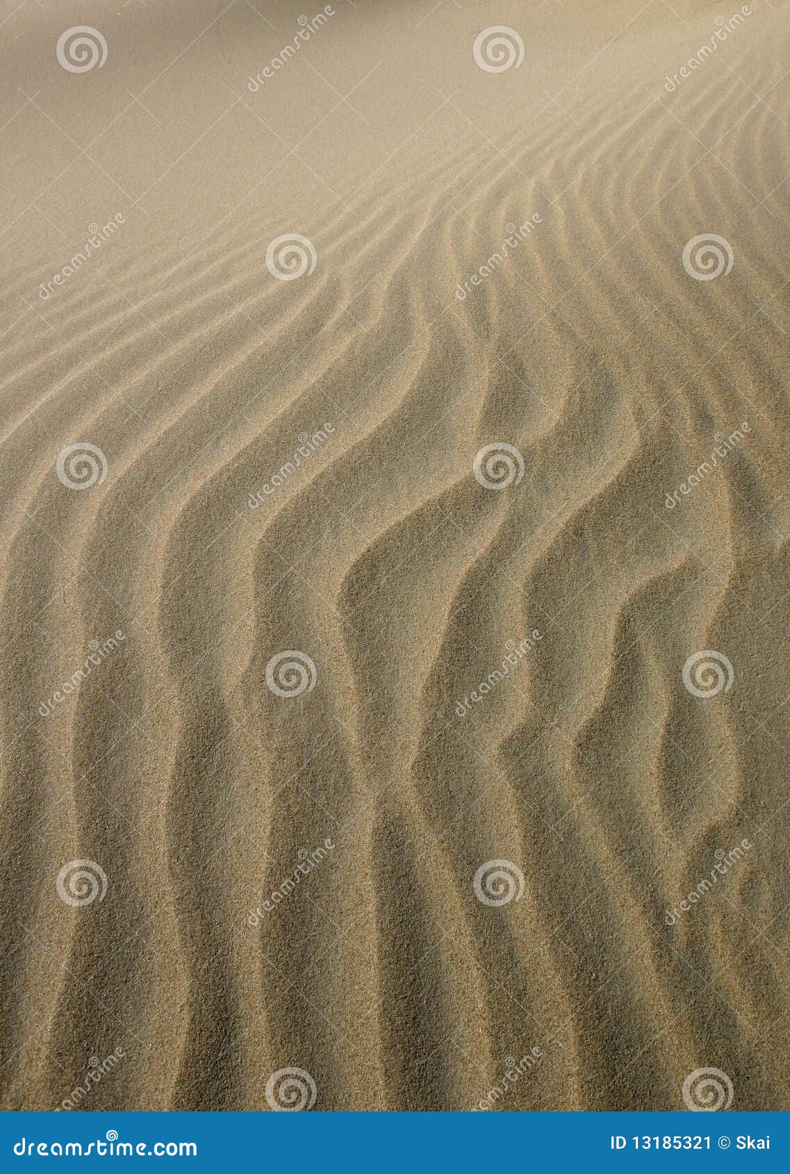 Sand Ripples stock image. Image of deserted, scene, ripple - 13185321