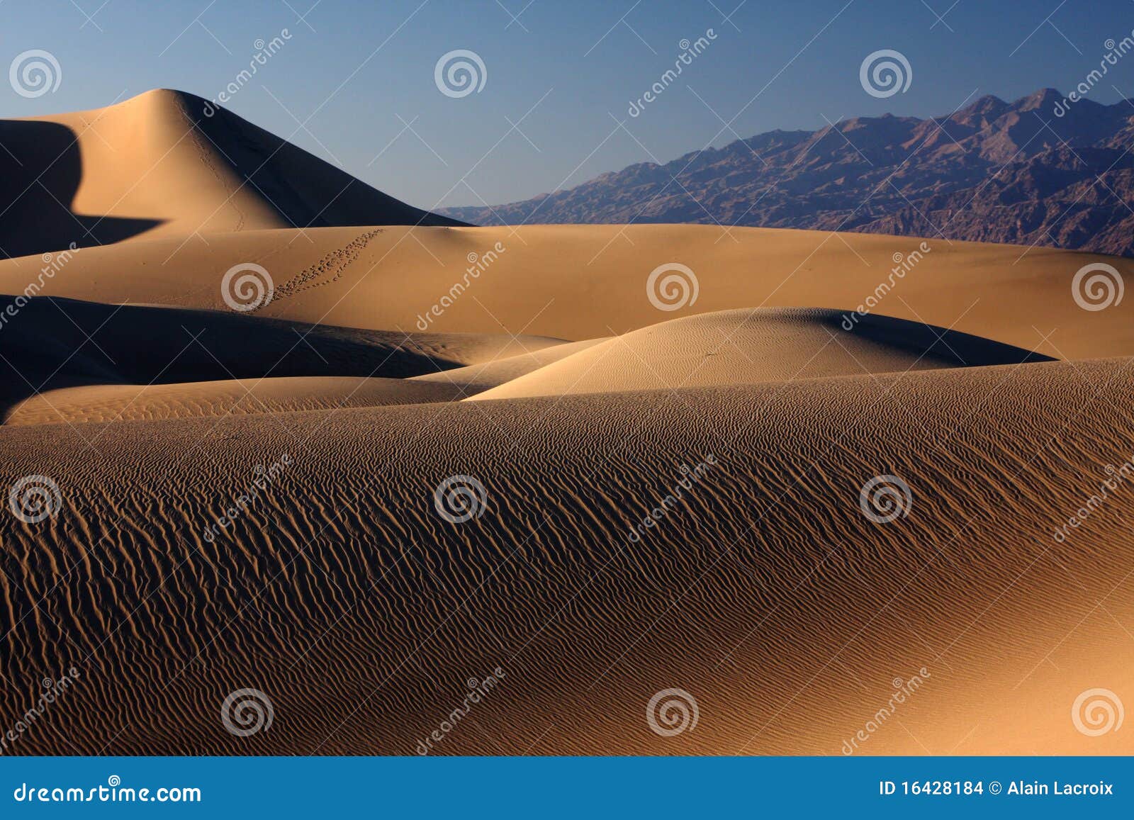 Sand ripples stock photo. Image of climate, lost, infinite - 16428184