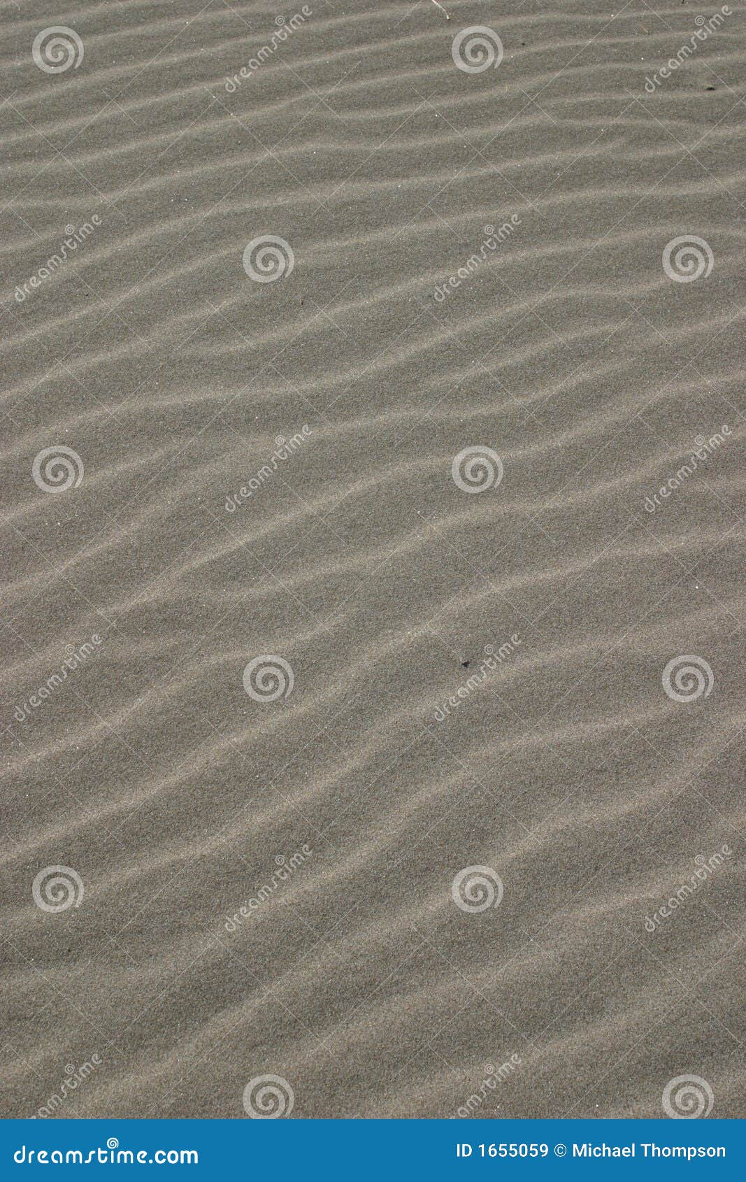 Sand Ripples Picture. Image: 1655059