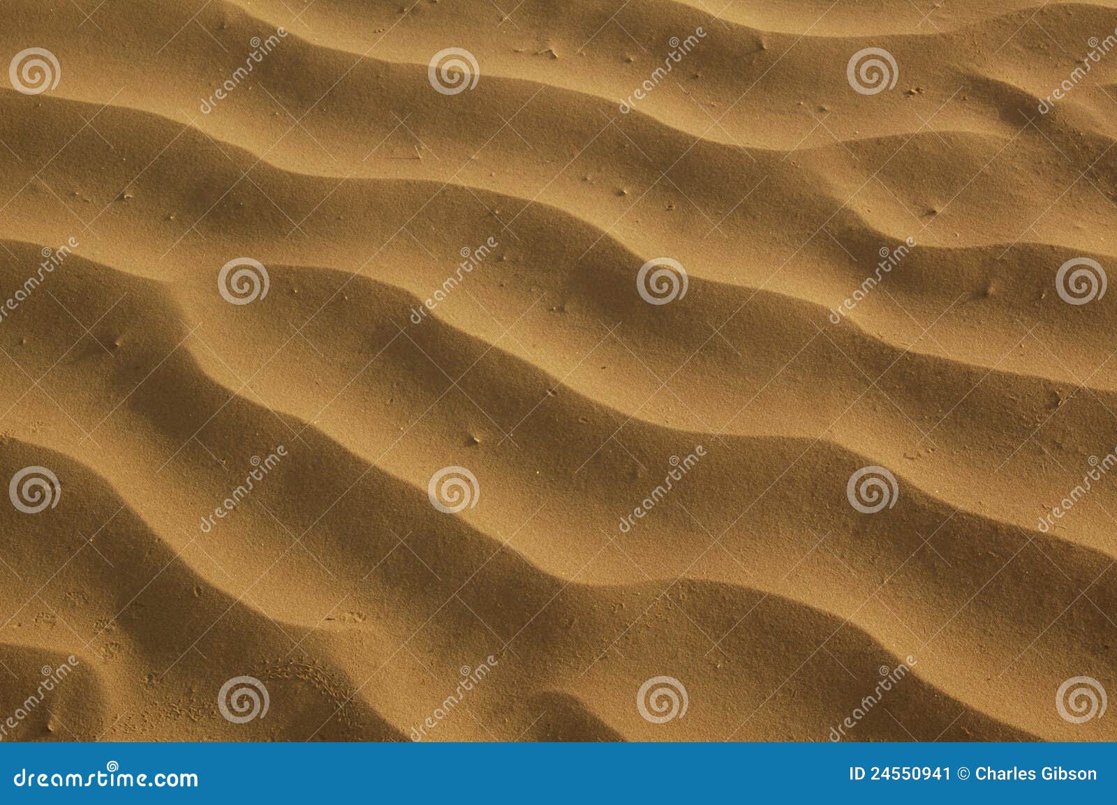 Sand ripples stock image. Image of dhabi, ripples, blown - 24550941