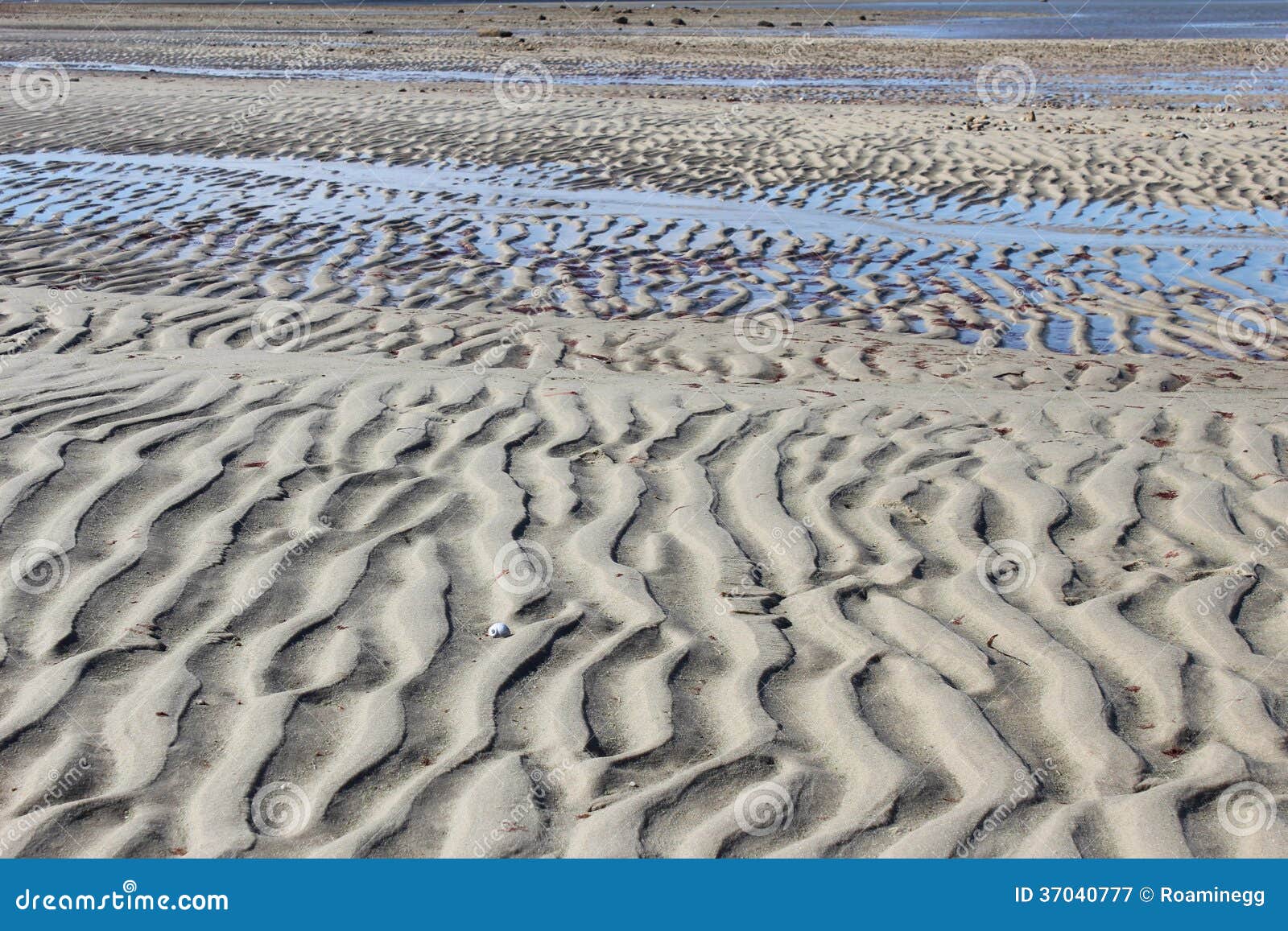Sand ripples stock image. Image of abstract, outdoor - 37040777