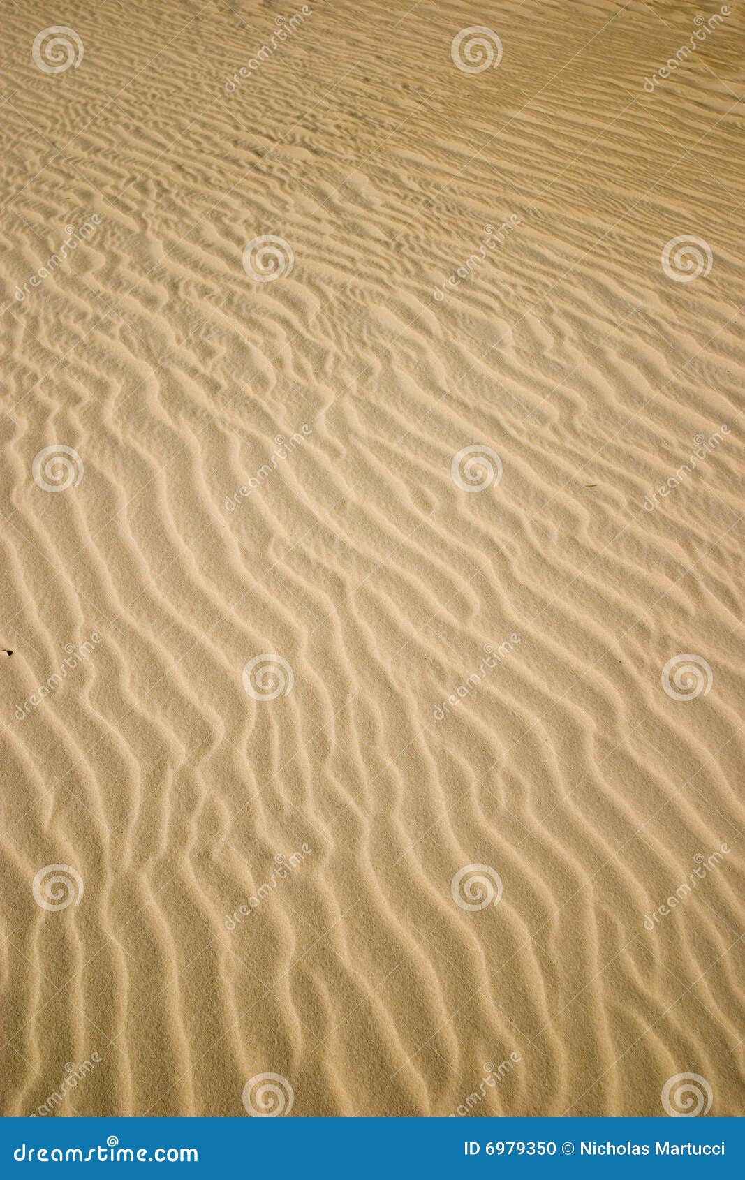 Sand ripples stock photo. Image of beige, sand, landmark - 6979350