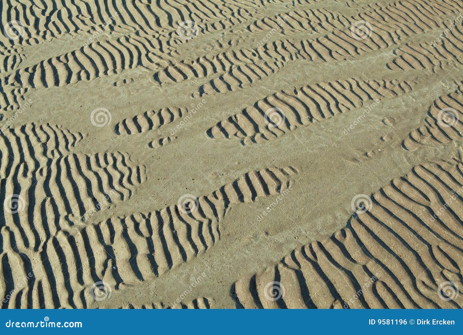 Sand ripples stock photo. Image of dune, beach, nature - 9581196