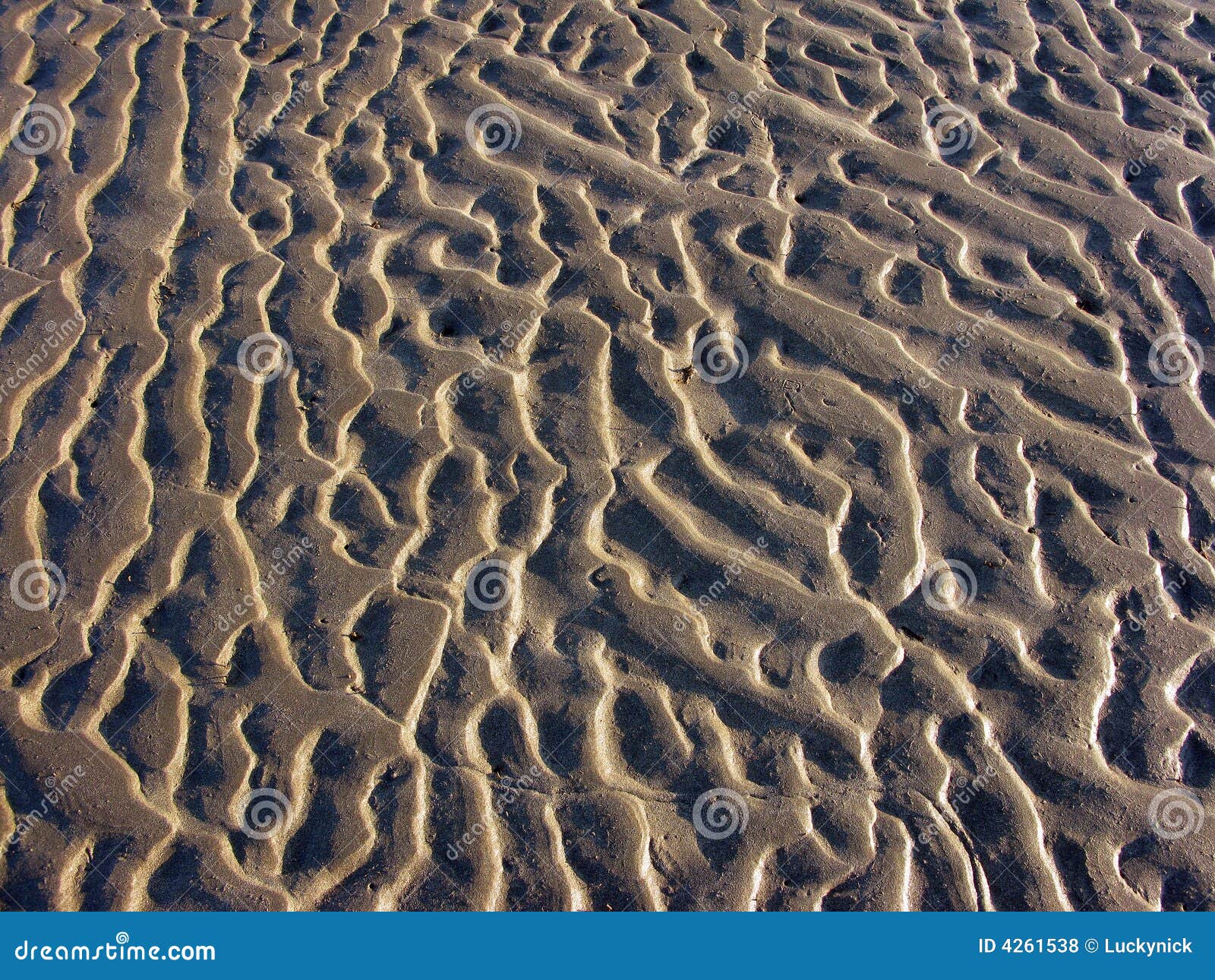 Sand ripples background stock photo. Image of effect, seashore - 4261538
