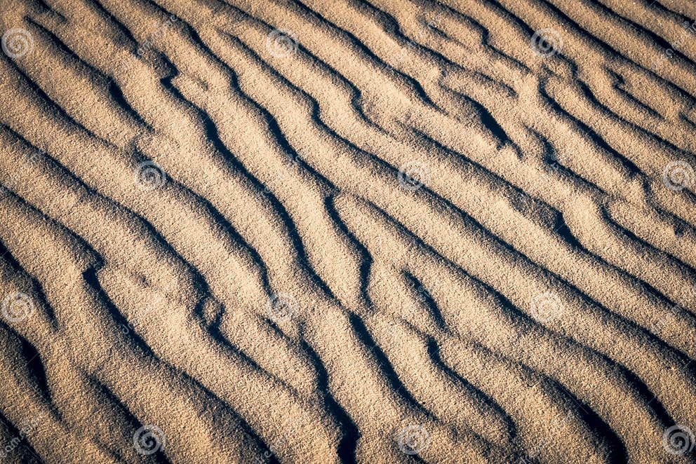 Sand Ripples stock photo. Image of sand, rippled, seamless - 83277982