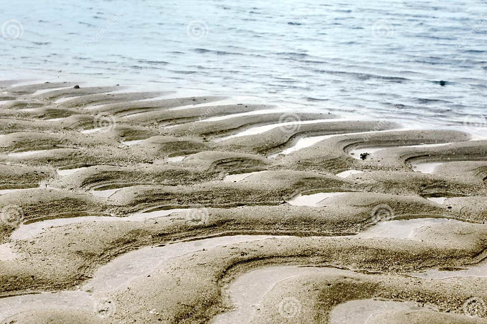 Sand ripples in a beach stock image. Image of shore, waves - 17991683