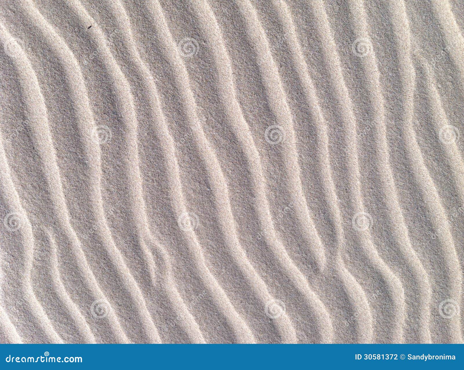 Sand Ripples stock photo. Image of sand, wavy, sandy - 30581372
