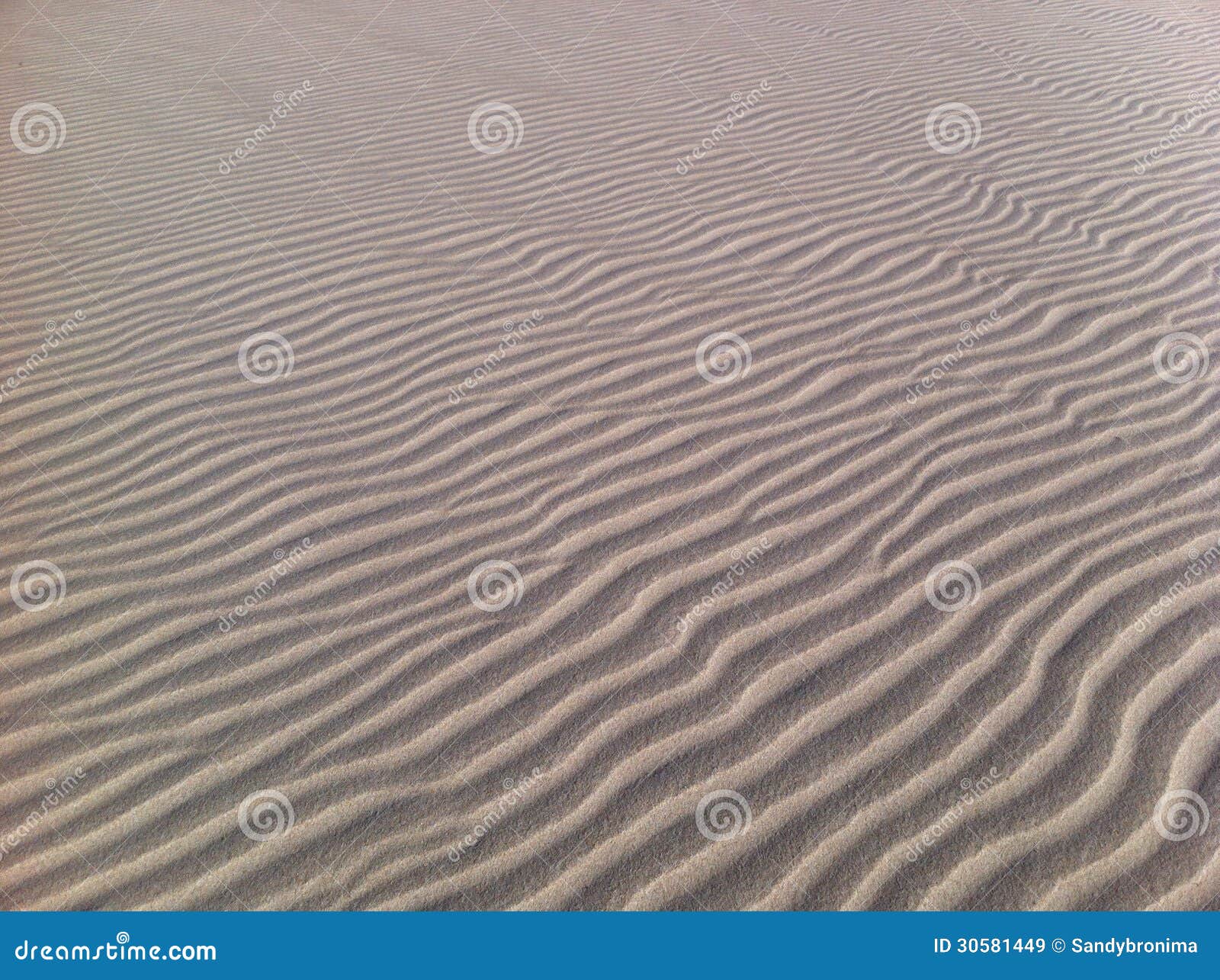 Sand Ripples stock image. Image of wavy, ripples, beach - 30581449