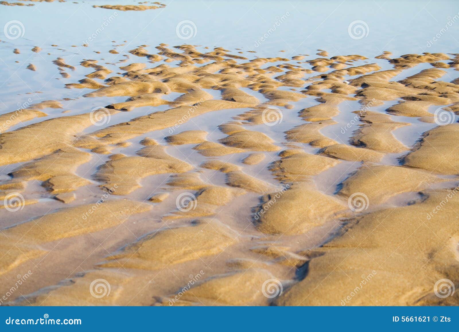 Sand ripples in a beach stock image. Image of paradise - 5661621