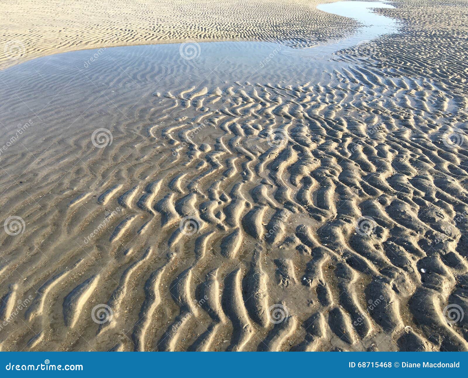 Sand ripples at the beach stock photo. Image of florida - 68715468