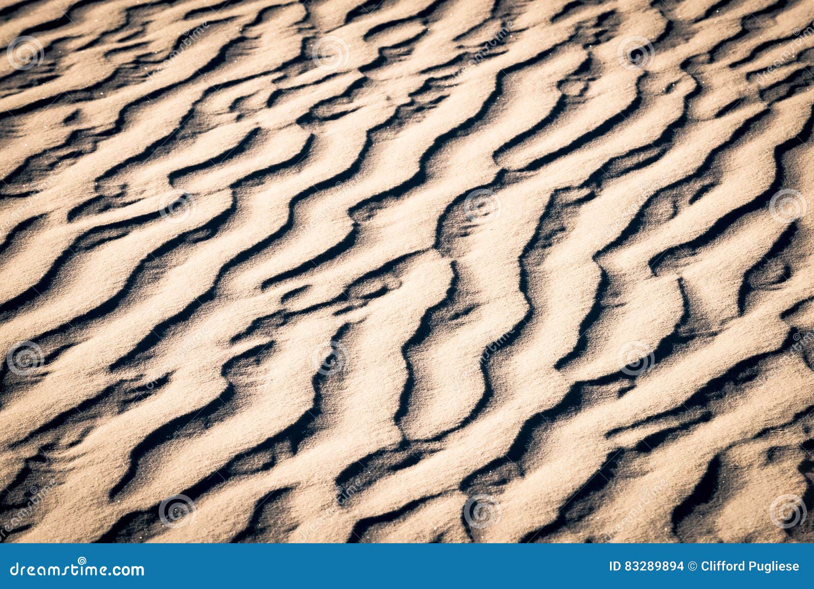 Sand Ripples stock photo. Image of background, texture - 83289894