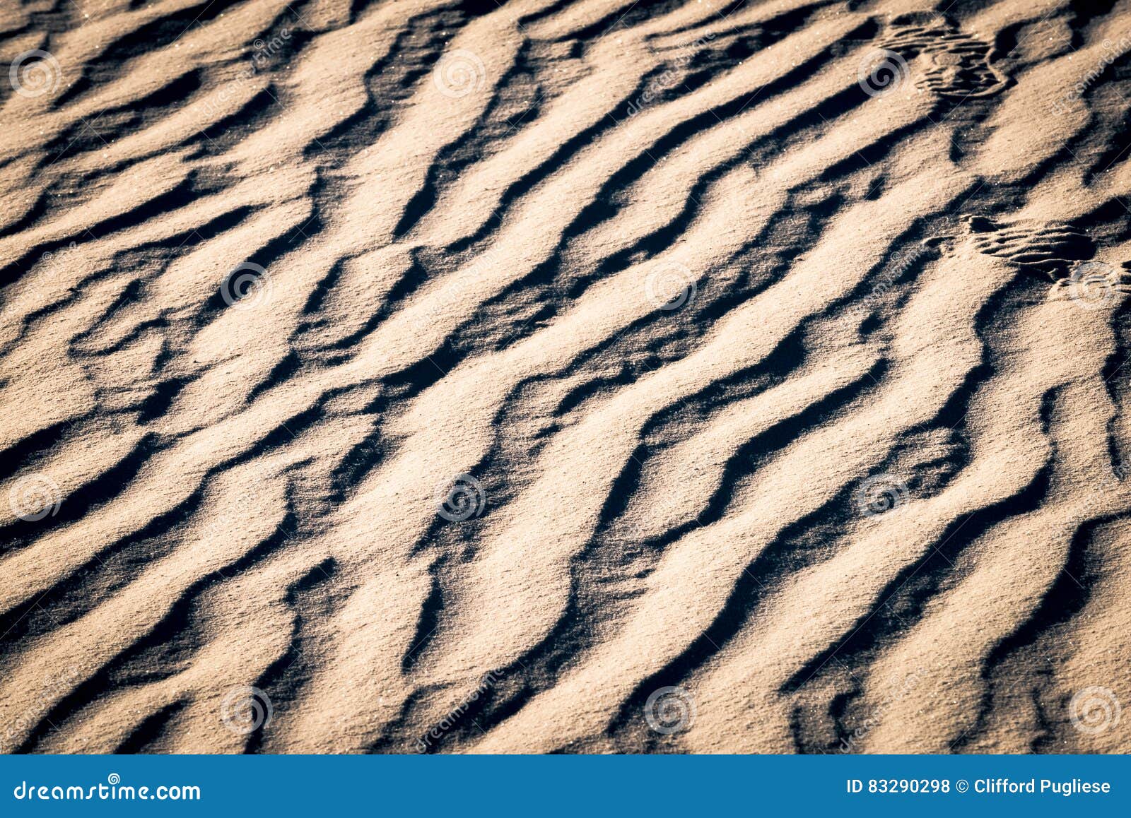Sand Ripples stock photo. Image of desert, golden, background - 83290298
