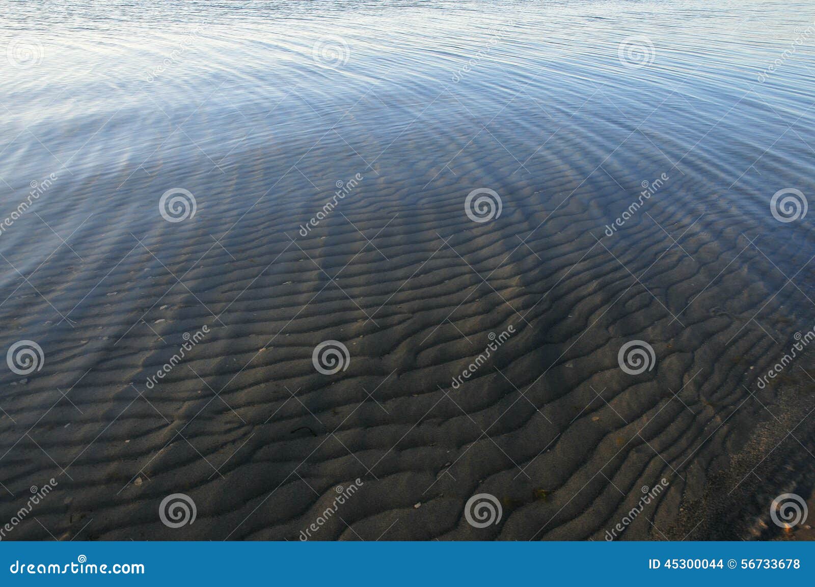Sand ripples stock photo. Image of danger, natural, concepts - 45300044