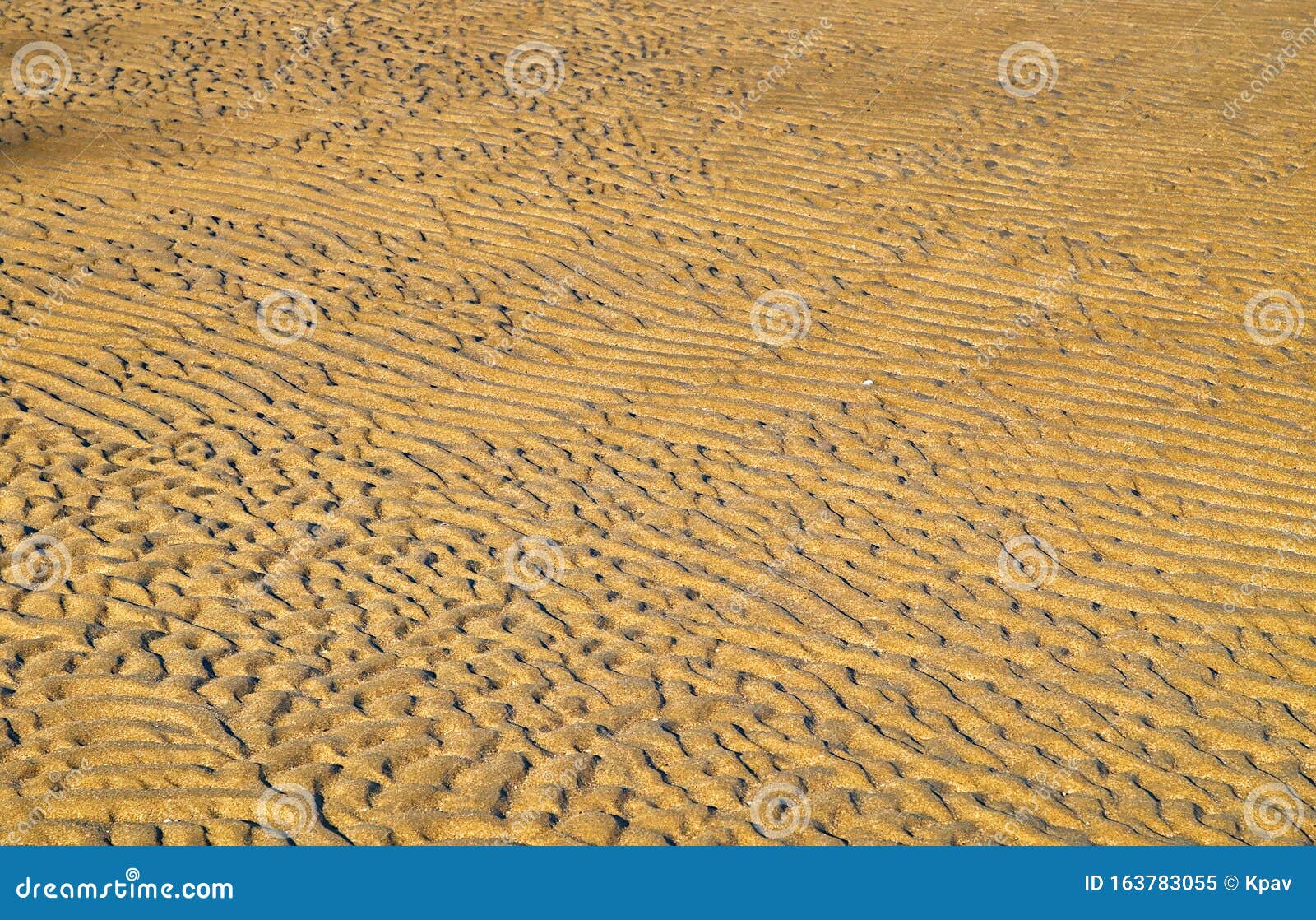 Sand Ripples Close Up Detail. Sand Shapes Seamless Textured Pattern ...