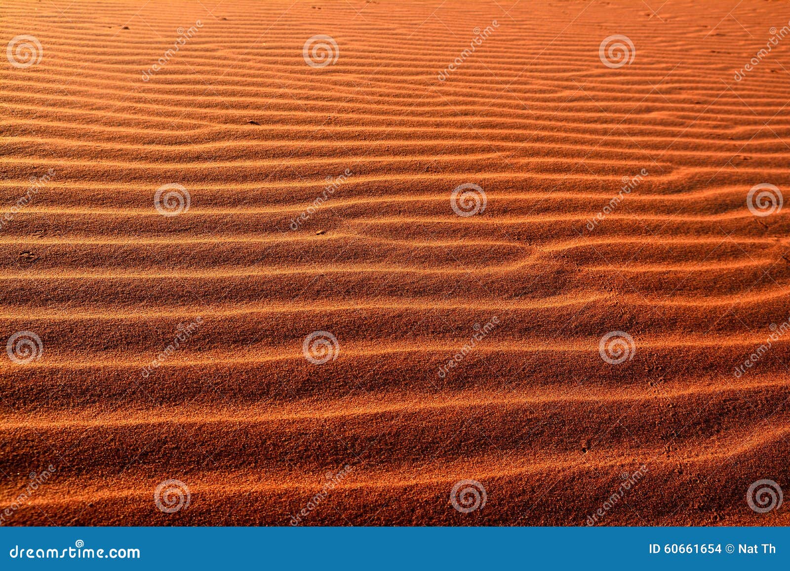 Sand Ripples in the Desert stock photo. Image of nature - 60661654