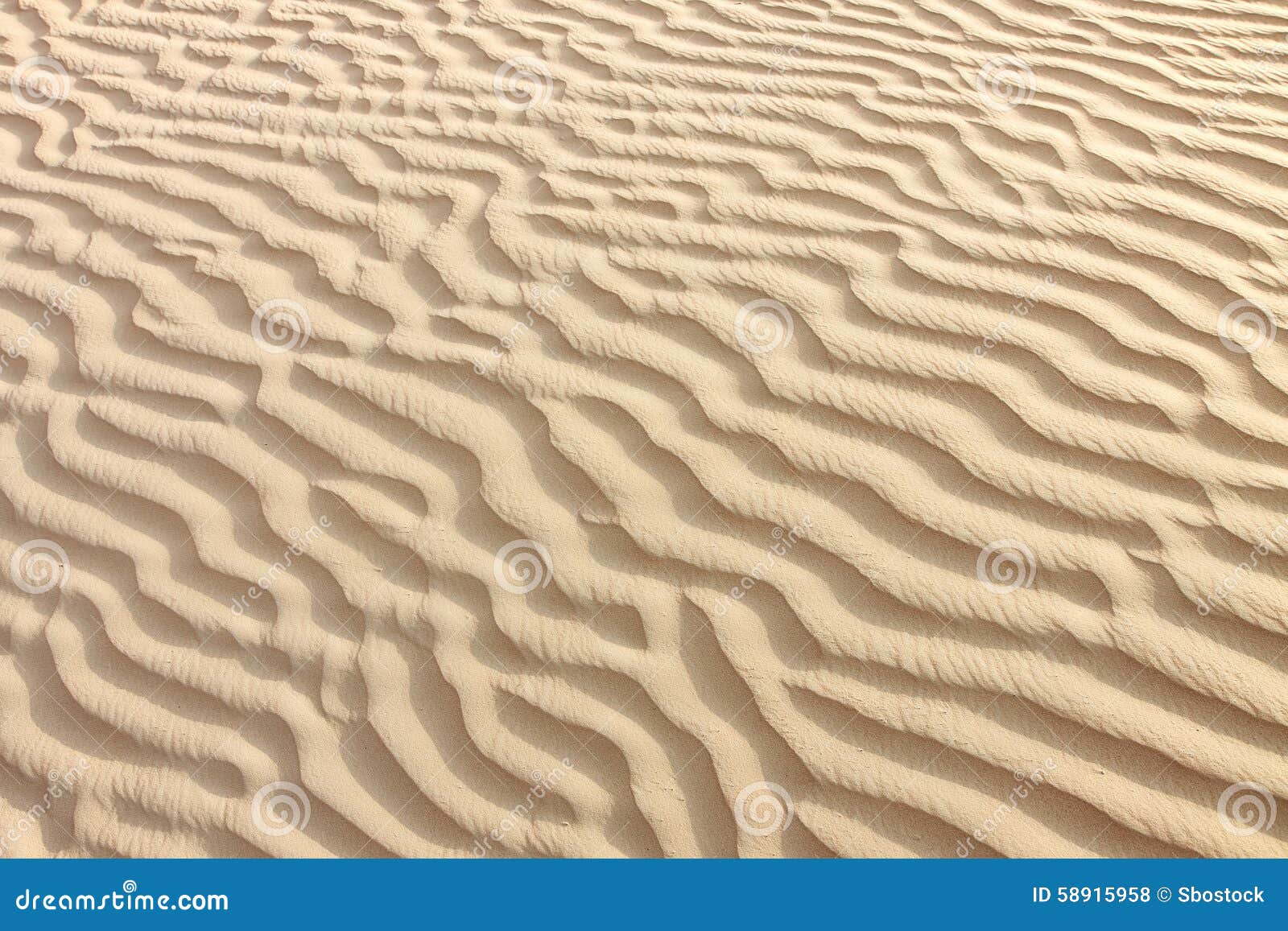 Sand ripples stock photo. Image of desert, abstract, ecology - 58915958