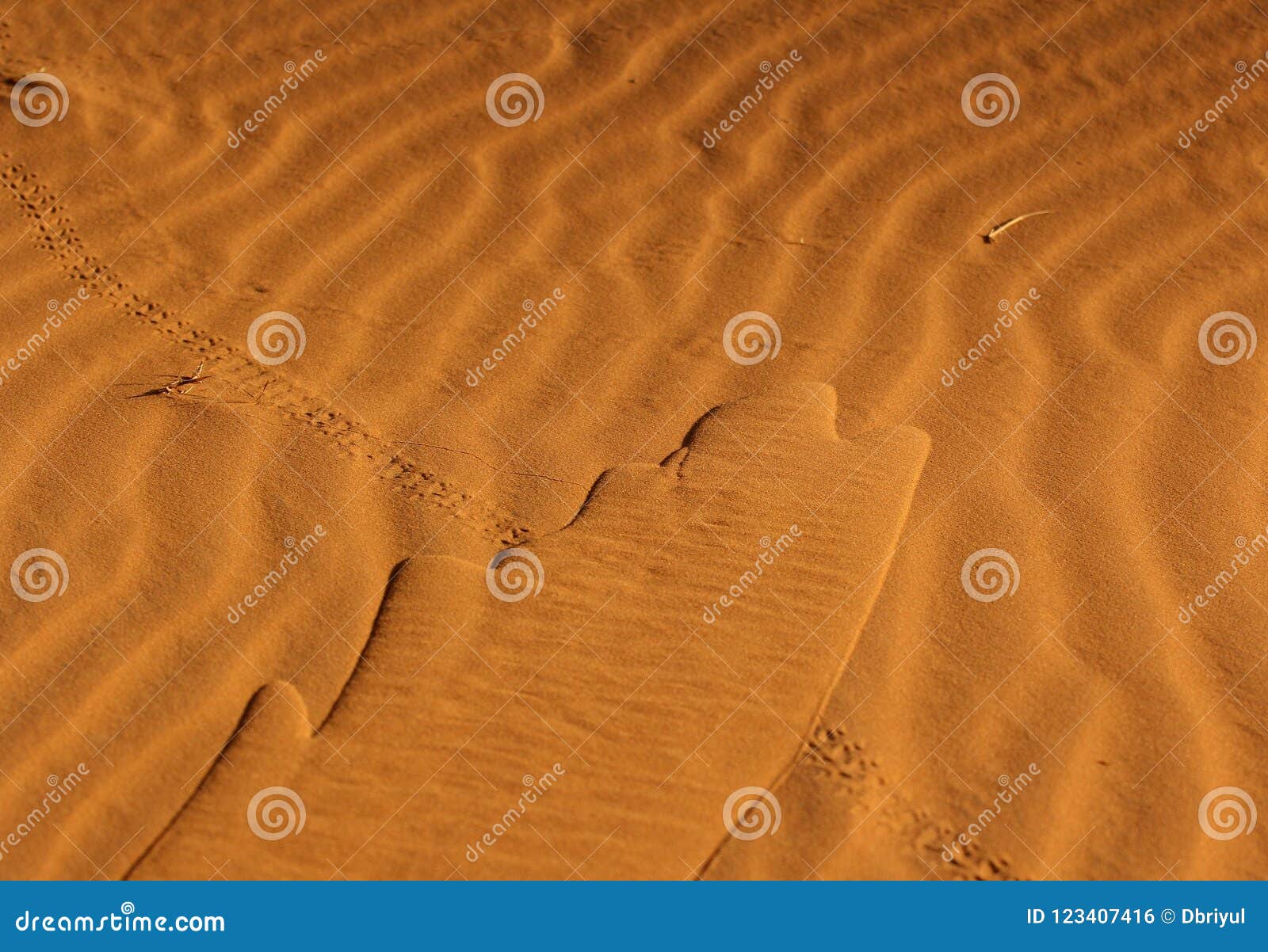 Sand Ripples of Dunes in the Sahara Stock Photo - Image of dunes ...