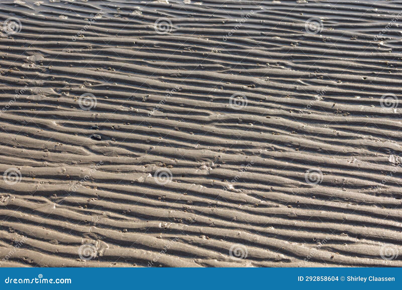 Sand Ripples Form a Natural Background of Textured Patterns at Low Tide ...