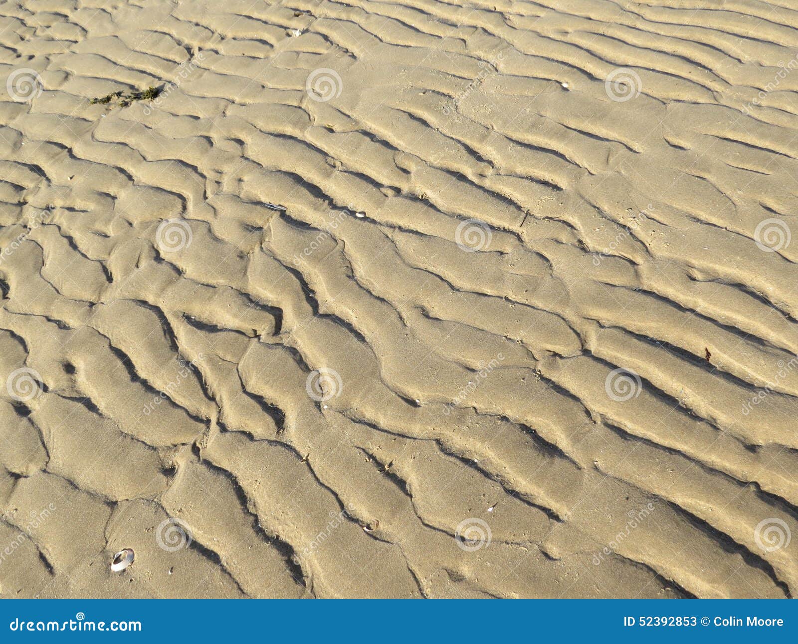 Sand Ripples stock image. Image of ripples, sand, seaside - 52392853