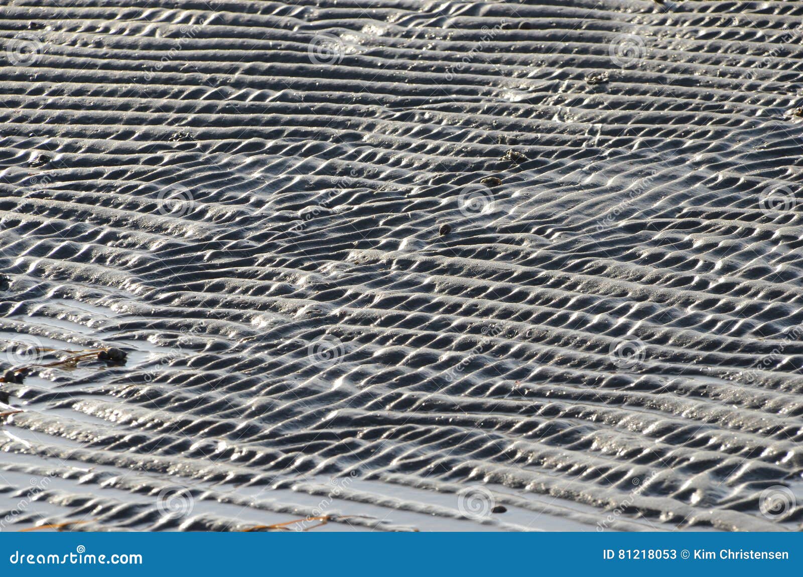 Sand Ripples stock image. Image of waves, waveform, water - 81218053