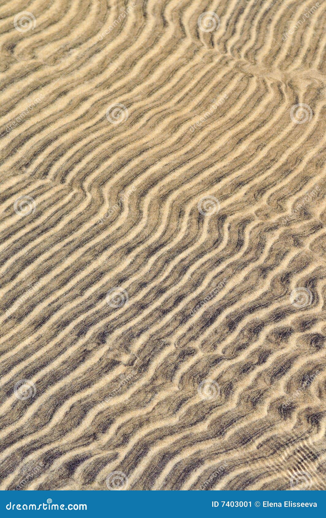 Sand Ripples in Shallow Water Stock Image - Image of environment, clear ...