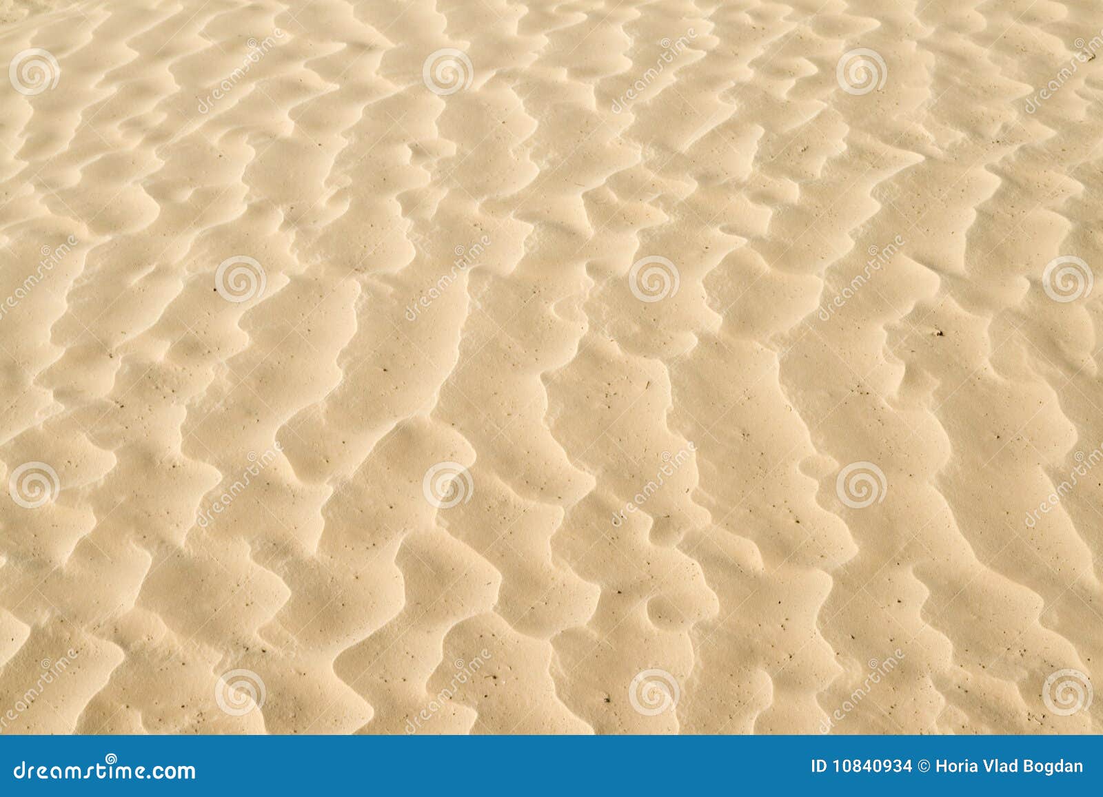 Sand ripples texture stock photo. Image of bright, desert - 10840934