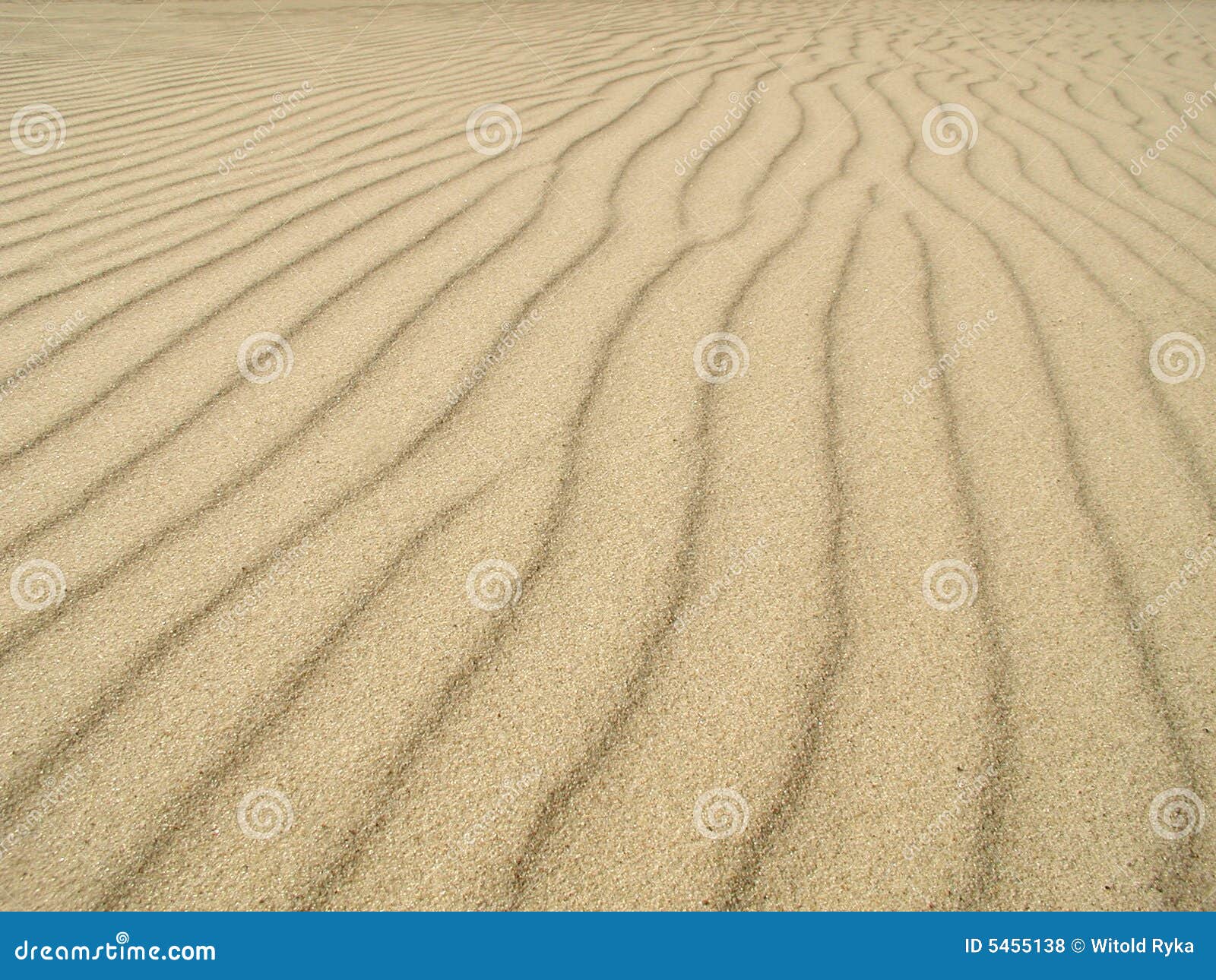 Sand ripples texture stock photo. Image of leisure, urban - 5455138
