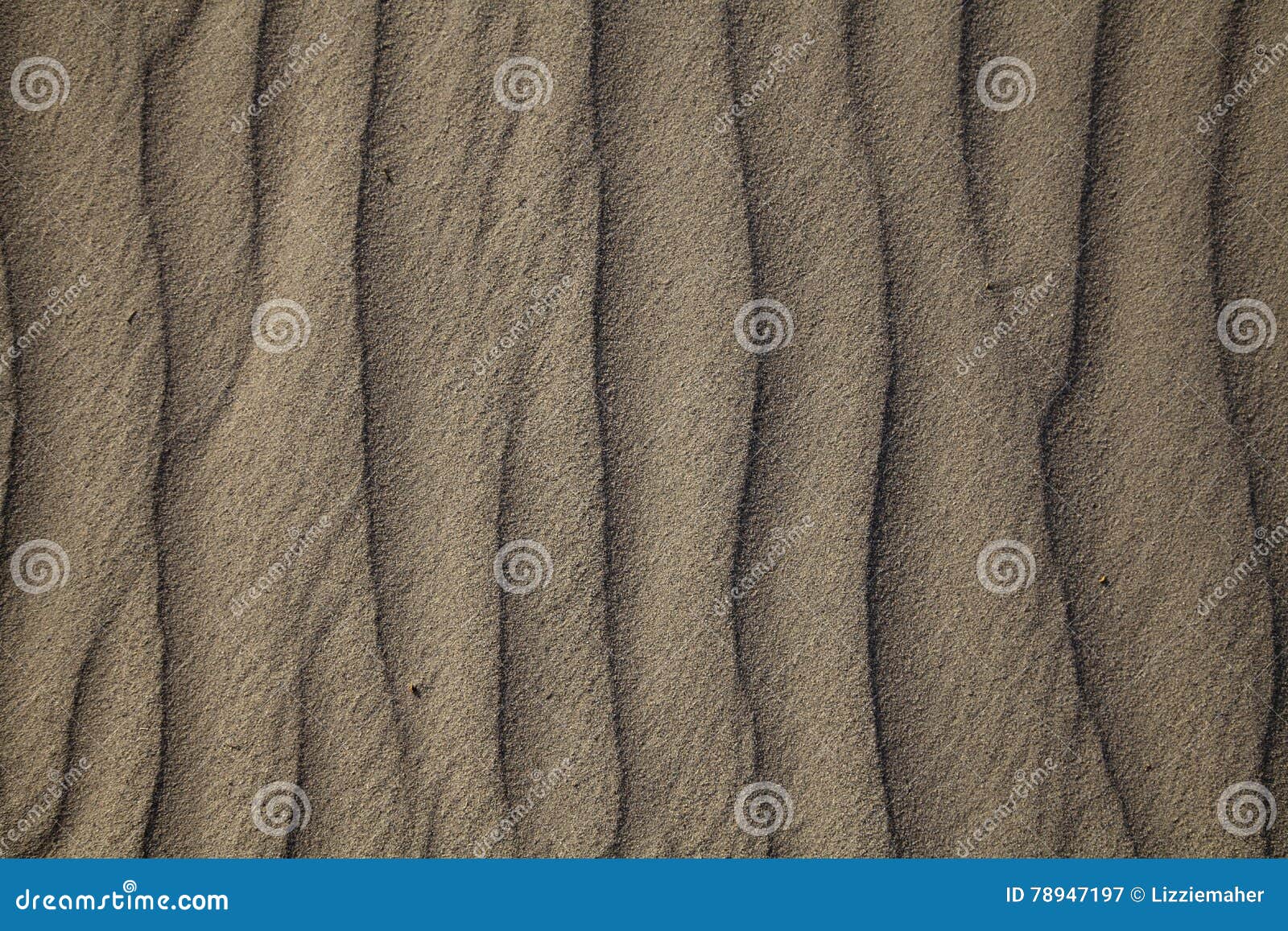 Sand Ripples stock image. Image of beach, desert, grain - 78947197