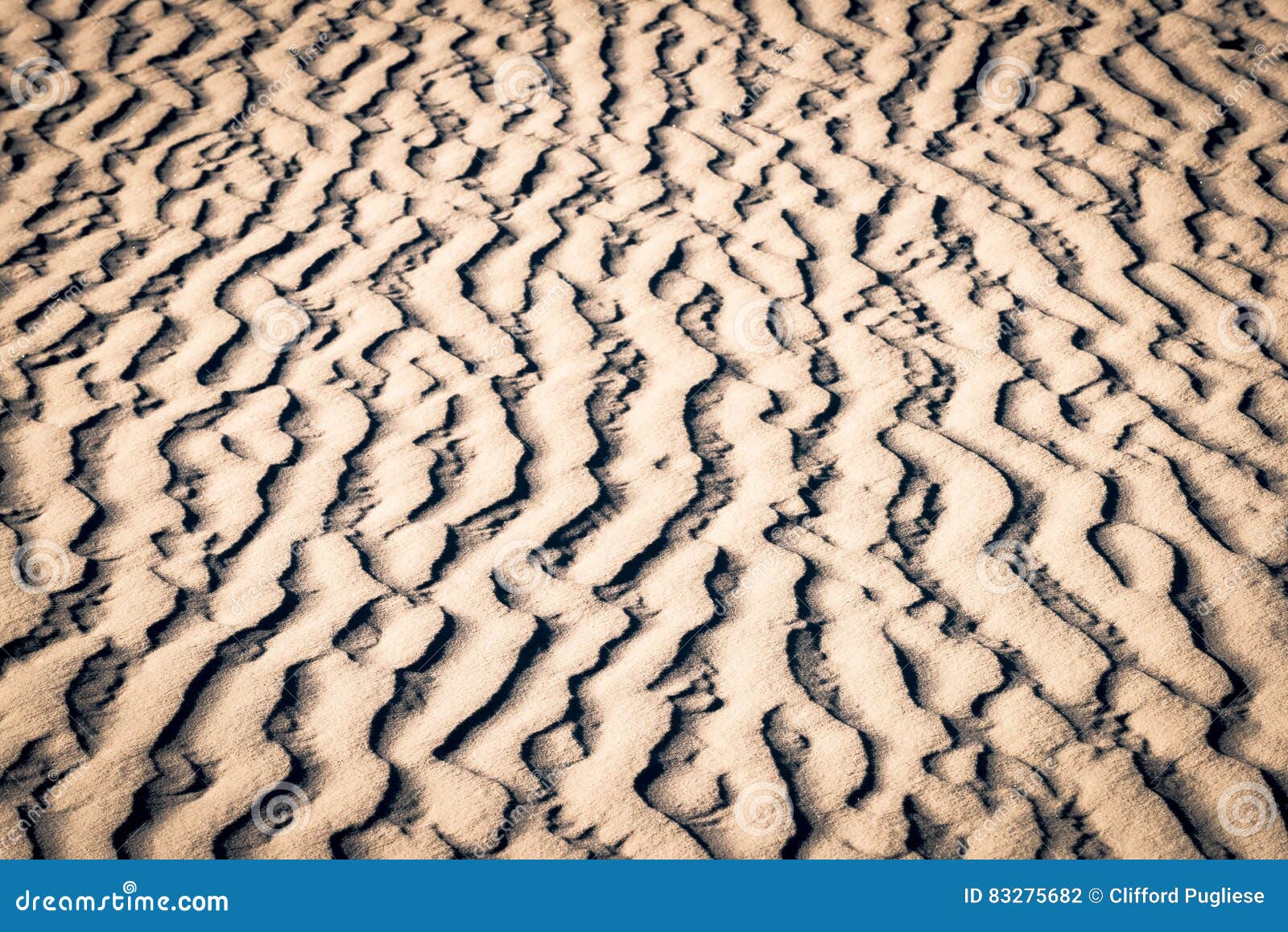 Sand Ripples stock photo. Image of lines, vacation, brown - 83275682