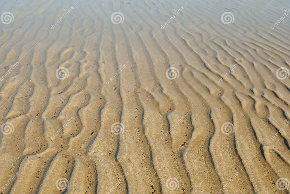 Sand ripples in water stock image. Image of bright, texture - 26178525