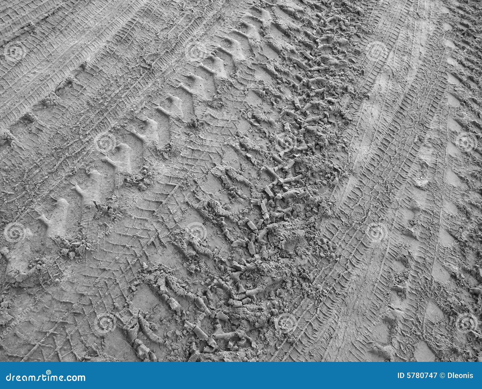 Sand Road To Beach With Rustic Fence And Sea Grapes And Palm Trees ...