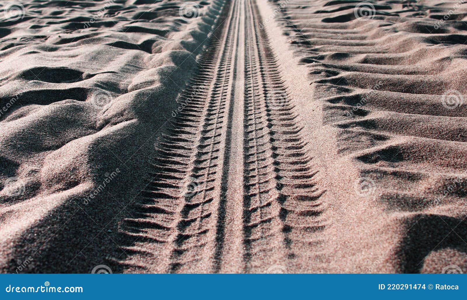 Sand road detail stock photo. Image of detail, trail - 220291474