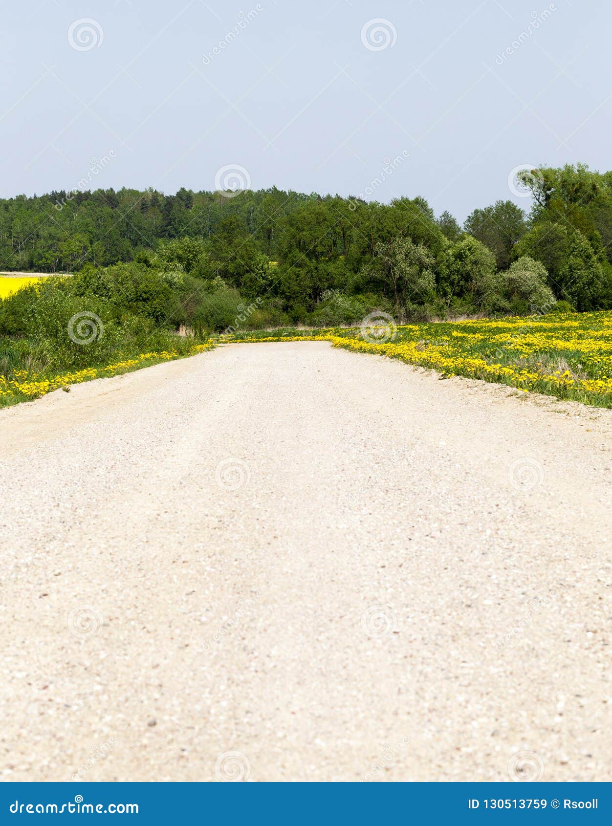Sand road stock image. Image of stone, terrain, sand - 130513759