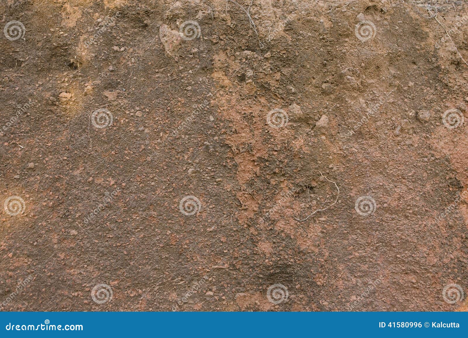 Sand Rock Texture with Roots. Background Stock Photo - Image of granite ...