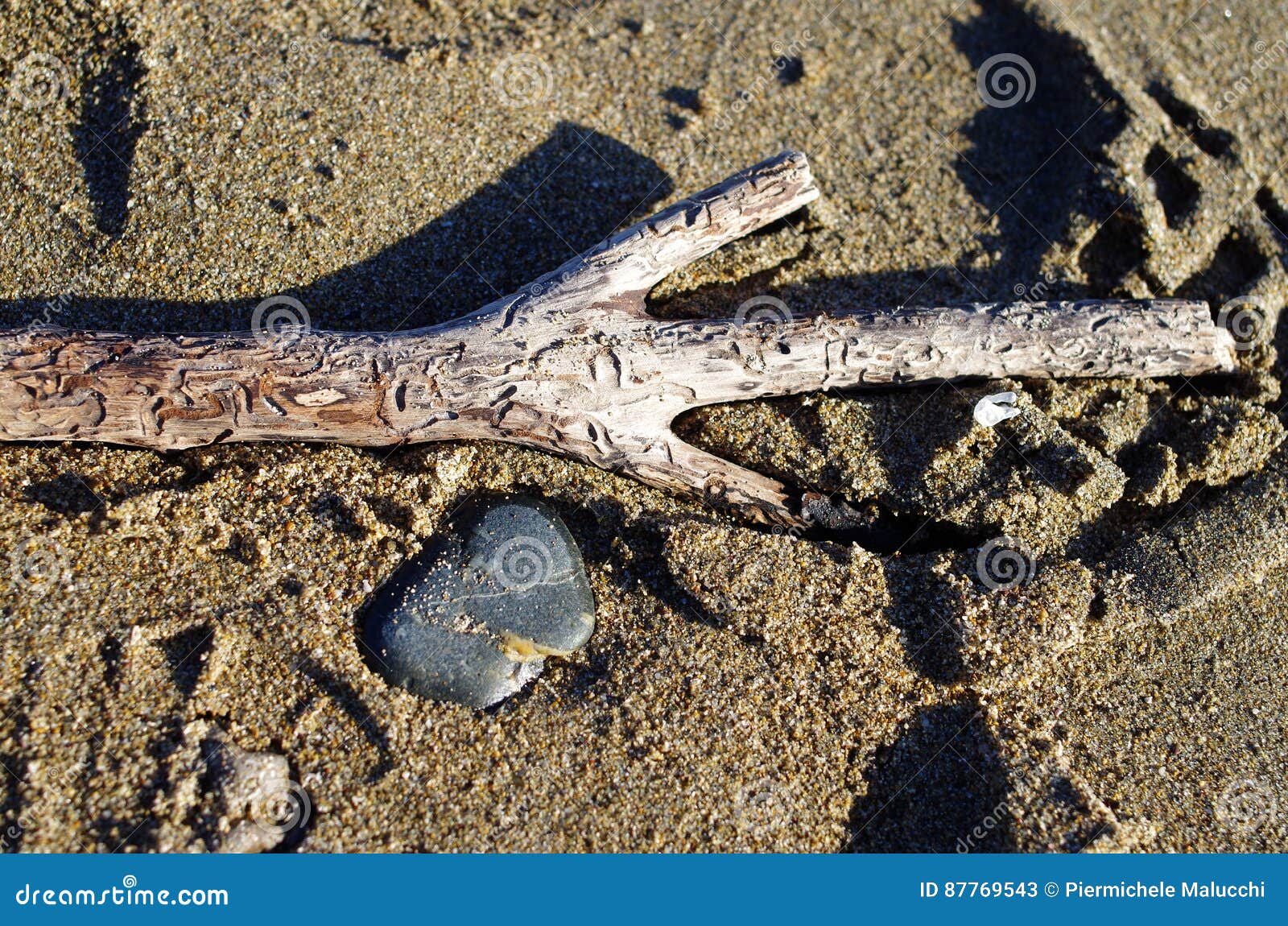 Sand, rock and tree branch stock image. Image of poor - 87769543