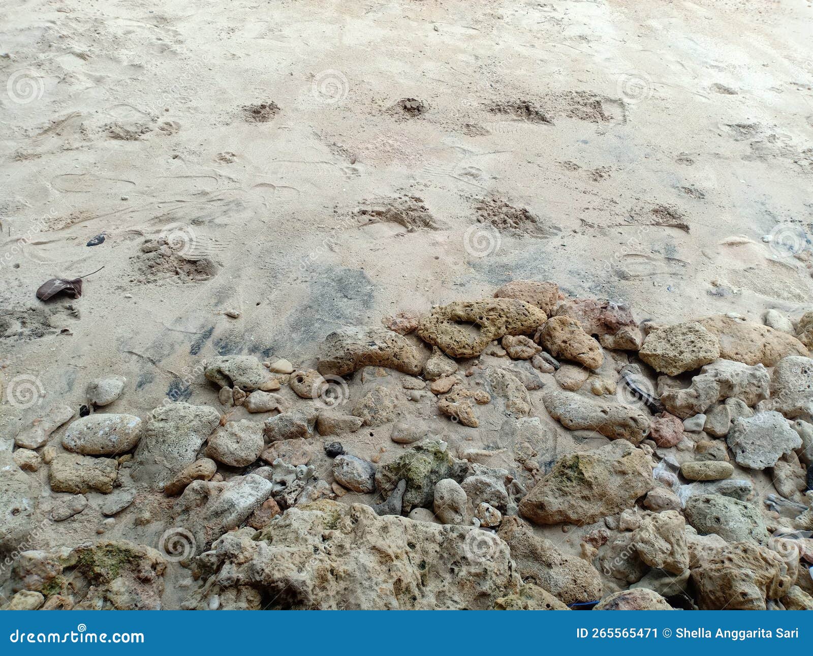 Sand and rocks stock image. Image of pink, wadi, coast - 265565471